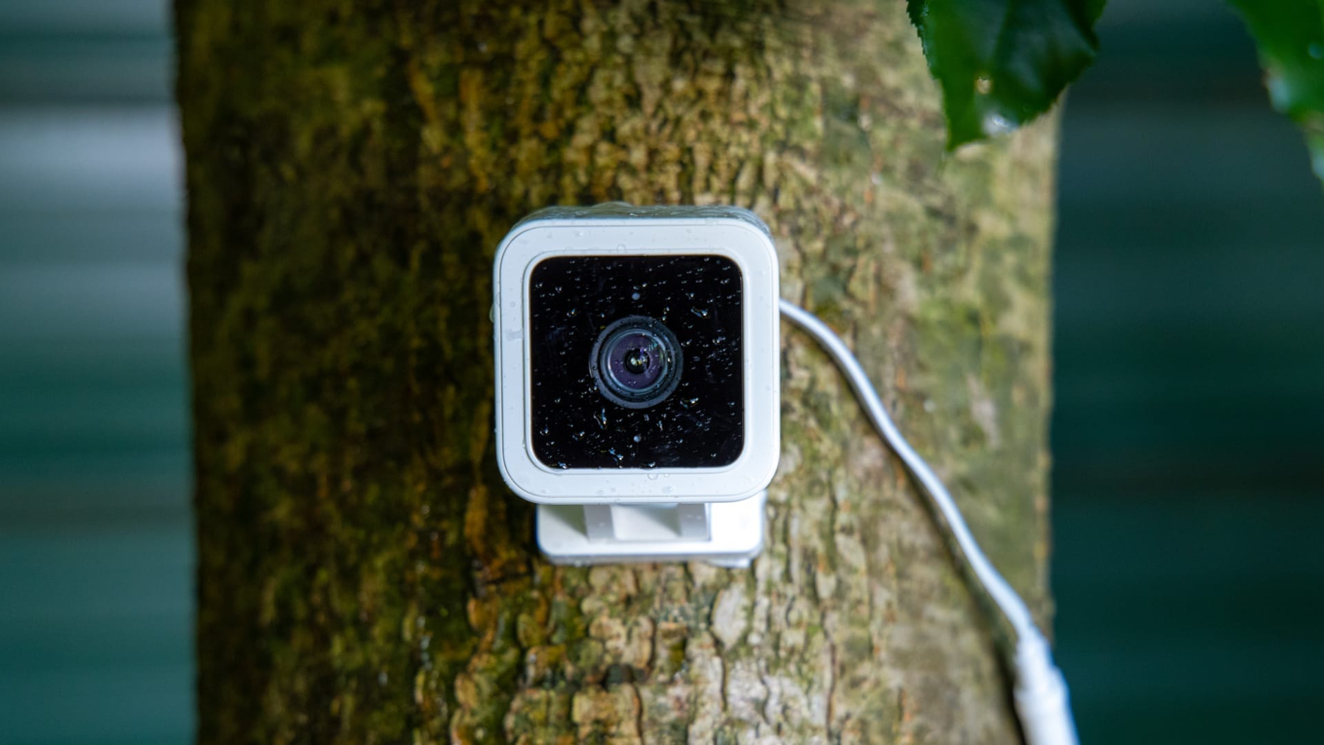 Wyze confronts extensive security breach exposing private camera feeds ...
